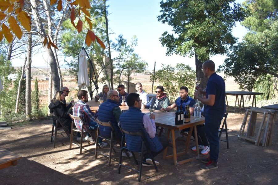 From Valencia: Guided Cheese Factory Tour with Wine Tasting - Visiting the Cheese Factory in Pedrones