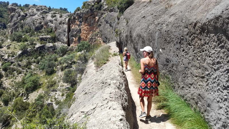 From Valencia: Peña Cortada Aqueduct Hiking Day Tour - What Makes This Tour Worth It