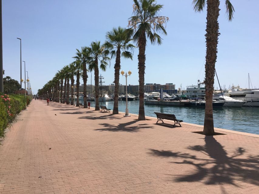 From Valencia: Private Day Trip to Alicante with Local Guide - Exploring Alicante’s Architectural Gems