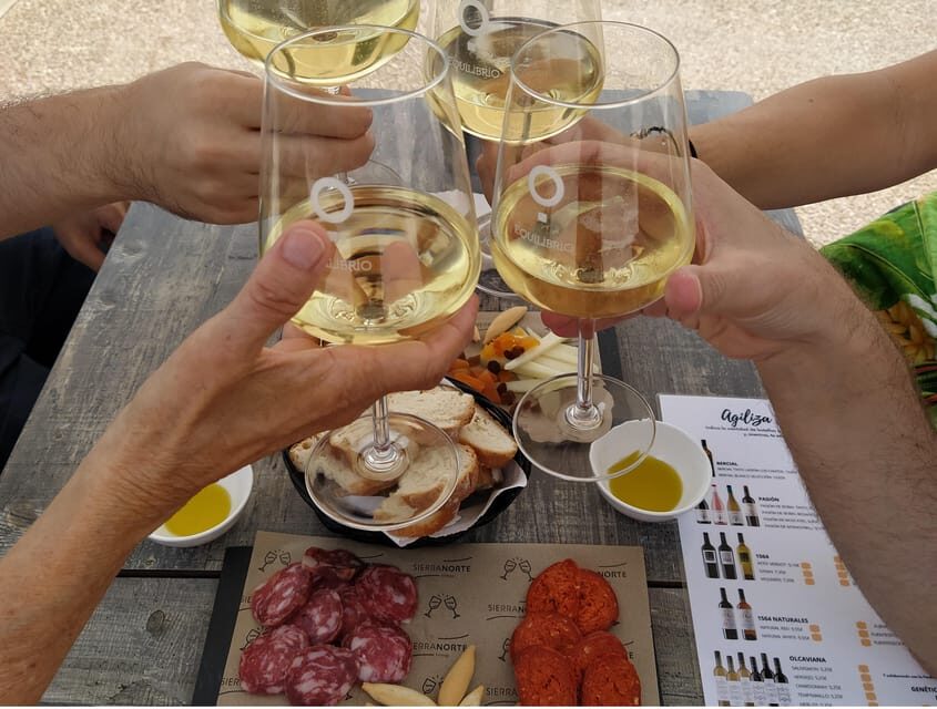 From Valencia: Requena Wine Tour with Tastings - Fine-Tuning the Details: Practical Aspects of the Tour