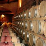 From Venice: day trip to Amarone and Prosecco wine regions - Who Will Love This Tour?