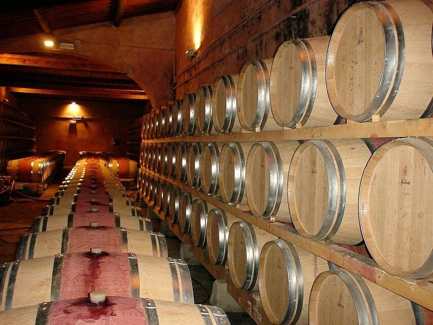 From Venice: day trip to Amarone and Prosecco wine regions - Who Will Love This Tour?