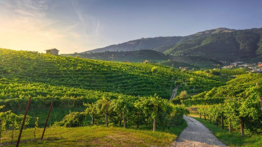 From Venice: Prosecco Full-Day Tour w/ Wine Tasting & Lunch - Key Points
