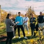 From Venice: Prosecco Wine Region Tour with 2 Tastings - Wine Tasting and Food Pairings