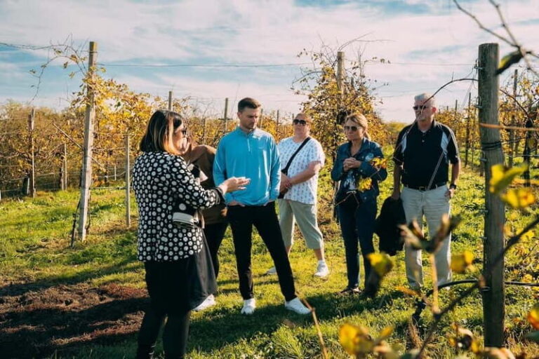 From Venice: Prosecco Wine Region Tour with 2 Tastings - Wine Tasting and Food Pairings