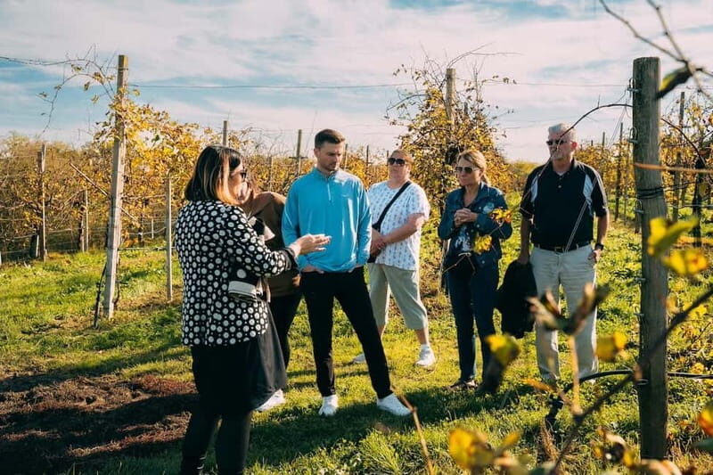 From Venice: Prosecco Wine Region Tour with 2 Tastings - Wine Tasting and Food Pairings