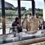 From Venice: Wine Tour in the Euganean Hills - How This Tour Is Structured