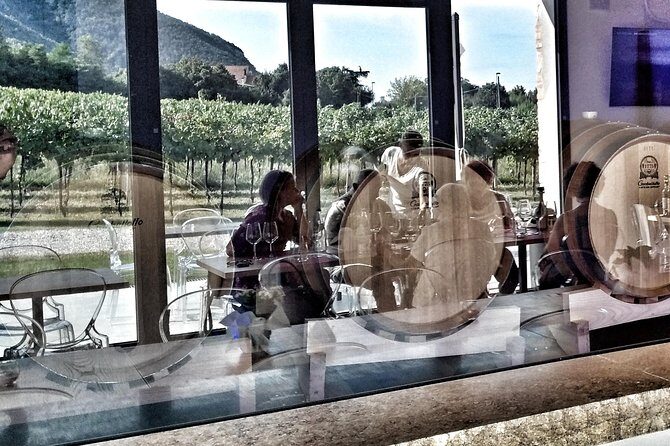 From Venice: Wine Tour in the Euganean Hills - How This Tour Is Structured