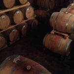 From Verona: Amarone Wine E-Bike Tour with Tasting - What Makes This Tour Special