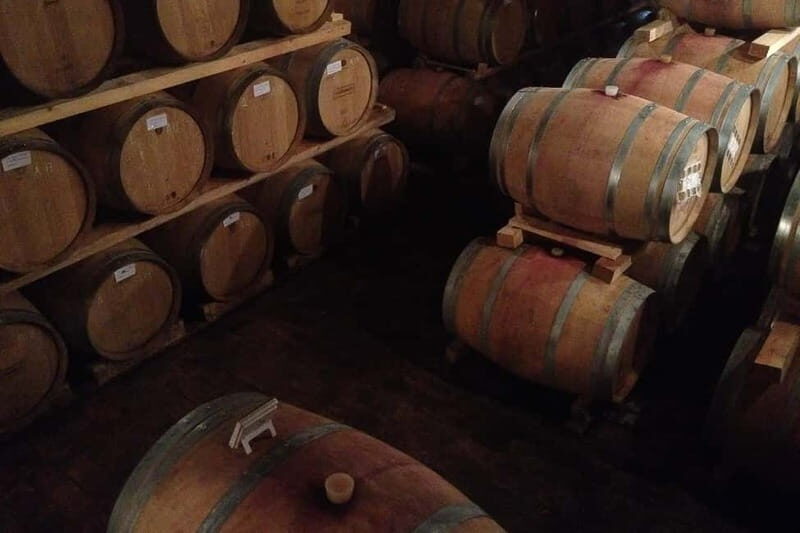 From Verona: Amarone Wine E-Bike Tour with Tasting - What Makes This Tour Special