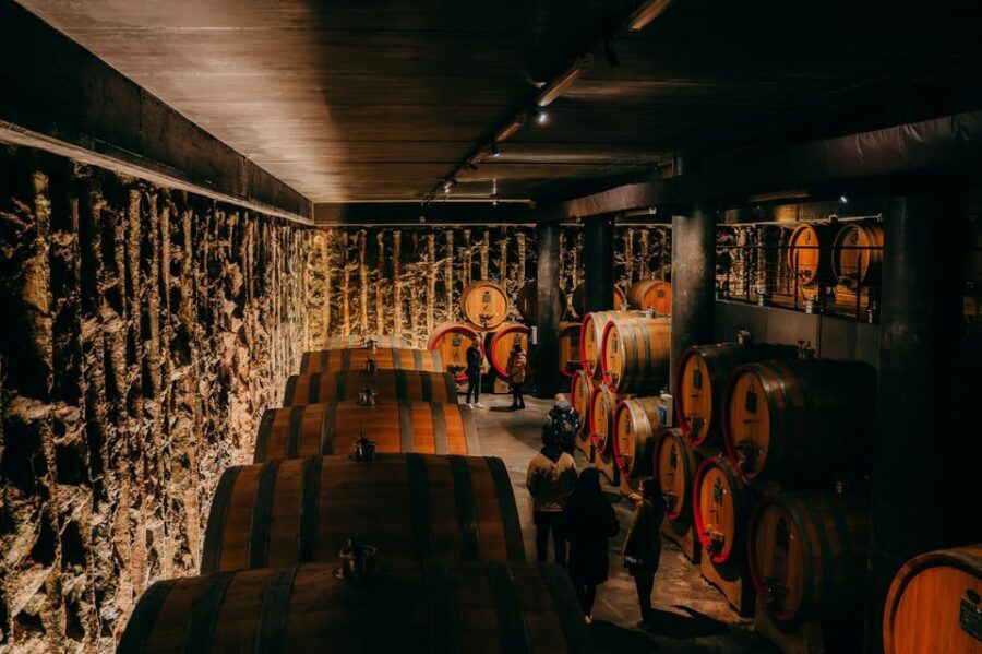 From Verona: Valpolicella and Amarone Wine Tasting Tour - Price and Value