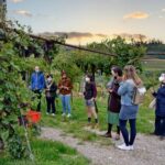 From Verona: Valpolicella Winery Tour with Amarone Vintages - Final Thoughts: Is It Worth It?