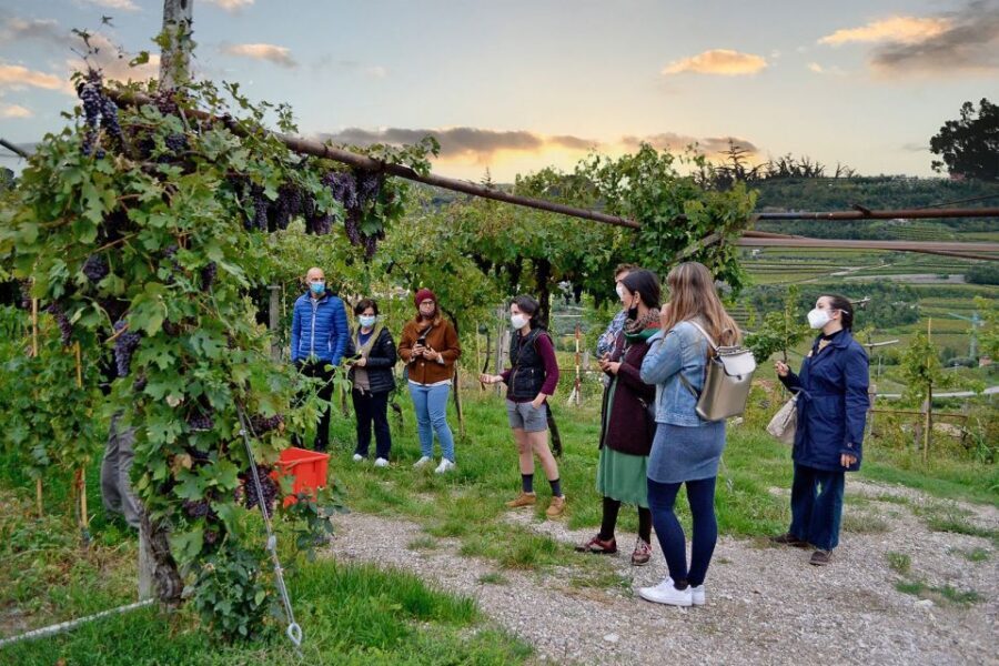 From Verona: Valpolicella Winery Tour with Amarone Vintages - Final Thoughts: Is It Worth It?
