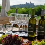 From Vienna: Half-day Countryside Wine Tour with Meal - Exploring What This Tour Offers