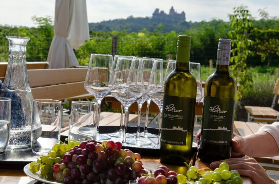 From Vienna: Half-day Countryside Wine Tour with Meal - Exploring What This Tour Offers