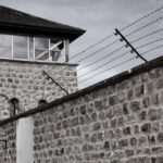 From Vienna: Mauthausen Memorial Private Day Trip - Who Is This Tour Best For?