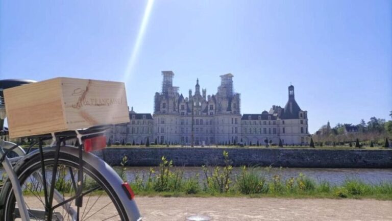 From Villesavin: Full Day Guided E-bike Tour to Chambord - Who Will Love This Tour?