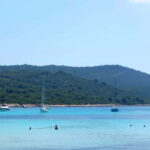 From Vir: Full-Day Guided Trip to Sakarun Beach - Who Will Love This Tour?