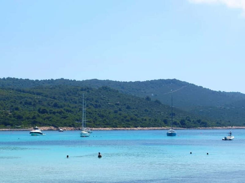 From Vir: Full-Day Guided Trip to Sakarun Beach - Who Will Love This Tour?