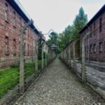 From Warsaw: Auschwitz-Birkenau Guided Tour with Fast Train - The Cost and What You Get