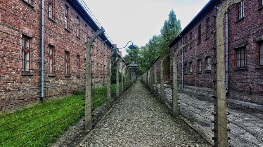 From Warsaw: Auschwitz-Birkenau Guided Tour with Fast Train - The Cost and What You Get