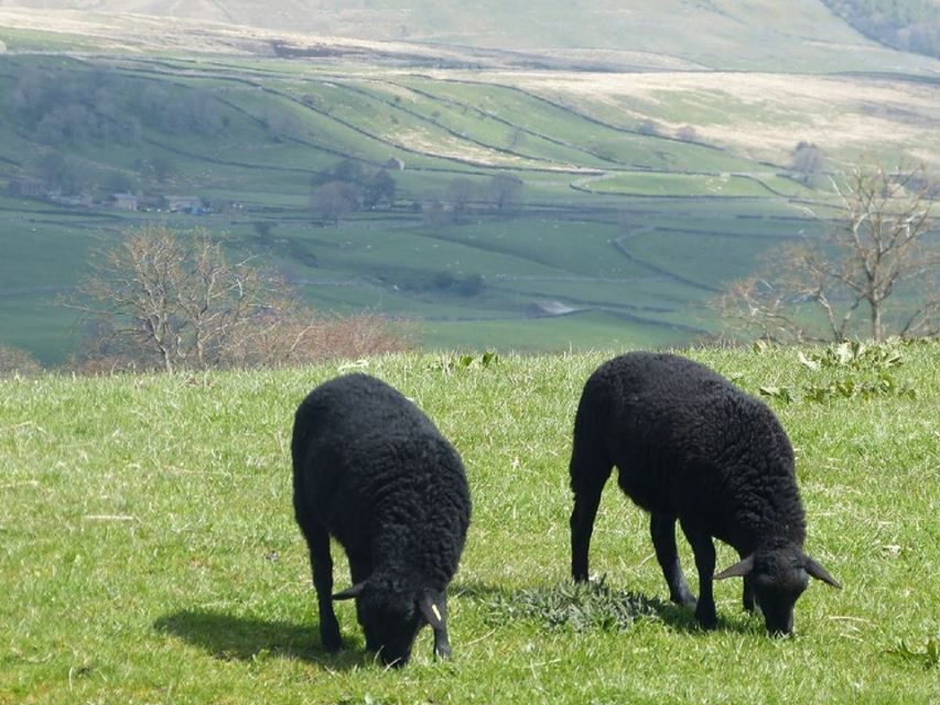 From York: Full-Day Yorkshire Dales Tour - Transportation and Group Size