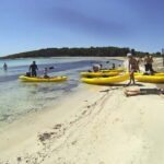 From Zadar: Full-Day Kayaking Tour in Dugi Otok - What Sets This Tour Apart