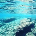 From Zadar: Sports Sailing Tour with Swimming Breaks - What’s Included and What’s Not