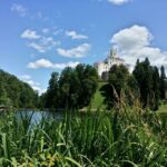 From Zagreb: Fairytale Castle & Wine Tasting & Lunch - Wine Tasting in a Countryside Winery