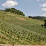 From Zagreb: Samobor Highlights & Wine Tasting in Pleivica - FAQ
