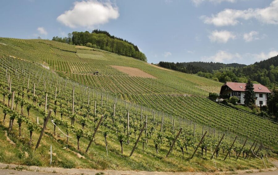 From Zagreb: Samobor Highlights & Wine Tasting in Pleivica - FAQ