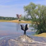 From Zagreb: Yugoslavia Memorial Sites Tour - A Deeply Informative Journey into Croatia’s Recent Past