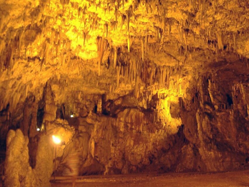 From Zakynthos: Kefalonia Island Full Day Tour by Bus & Boat - Practical Details and Tips