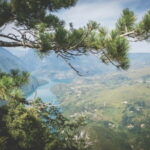 From Zlatibor/Uice: Tara National Park - Private Tour - The Experience in Terms of Value