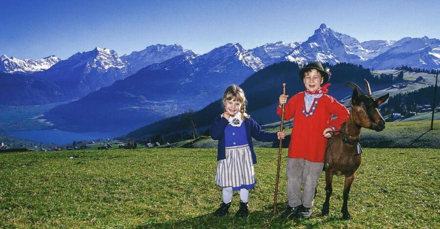 From Zurich: Bus Day Trip to Heidiland and Liechtenstein - Who Will Delight in This Tour?
