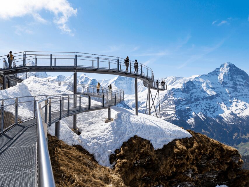 From Zurich: Grindelwald First Top of Adventure Private Trip - Who Should Consider This Tour?