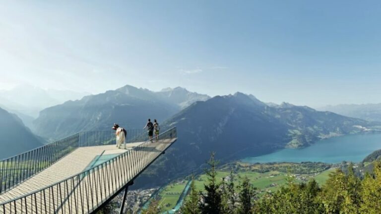 From Zurich: Interlaken Day Trip and Harder Kulm Viewpoint - Authentic Experiences and Traveler Feedback