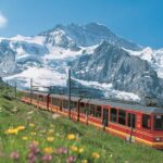 From Zurich: Jungfraujoch Guided Day Tour with Cogway Train - Transportation and Comfort