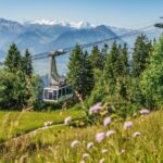 From Zurich: Mount Rigi and Lucerne Small-Group Day Trip - What Travelers Say