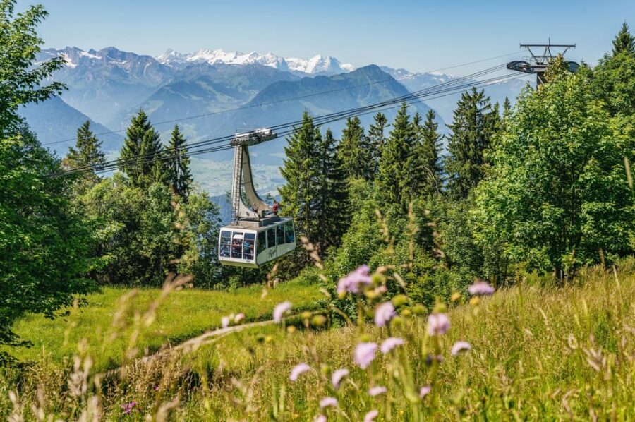 From Zurich: Mount Rigi and Lucerne Small-Group Day Trip - What Travelers Say