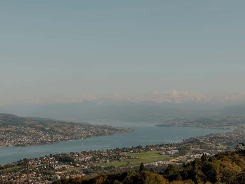 From Zurich: Mountain Magic on Two Wheels to Uetliberg - Climbing Through Forest and Sunlight