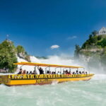 From Zurich: Rhine Falls Coach Tour - Transportation and Guide