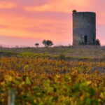 Fronsac vineyard mountain bike tour + wine tasting at La Closerie de Fronsac - The Ride: What to Expect