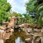 Fuengirola: Bioparc Entrance Ticket - The Habitats and Animal Encounters