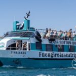 Fuengirola: Catamaran Tour to Spot Dolphins - Key Points