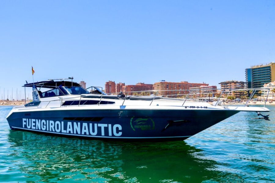Fuengirola: Dolphin Watching by Yacht with Snacks and Drinks - Experience and Itinerary in Detail