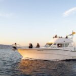 Fuengirola: Dolphin Watching Excursion with Refreshments - The Itinerary in Detail