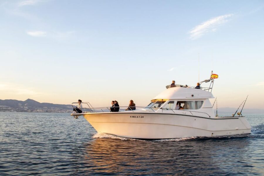 Fuengirola: Dolphin Watching Excursion with Refreshments - The Itinerary in Detail