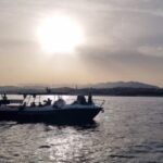 Fuengirola: Fantastic Dolphin Watching Yacht Tour with Drink - What to Expect on Your Dolphin Yacht Trip