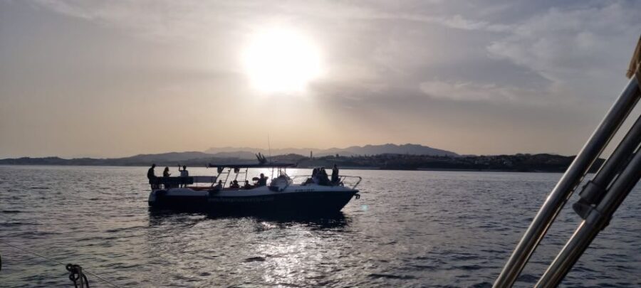 Fuengirola: Fantastic Dolphin Watching Yacht Tour with Drink - What to Expect on Your Dolphin Yacht Trip